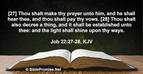 Search - Bible Promise