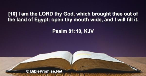 Search - Bible Promise