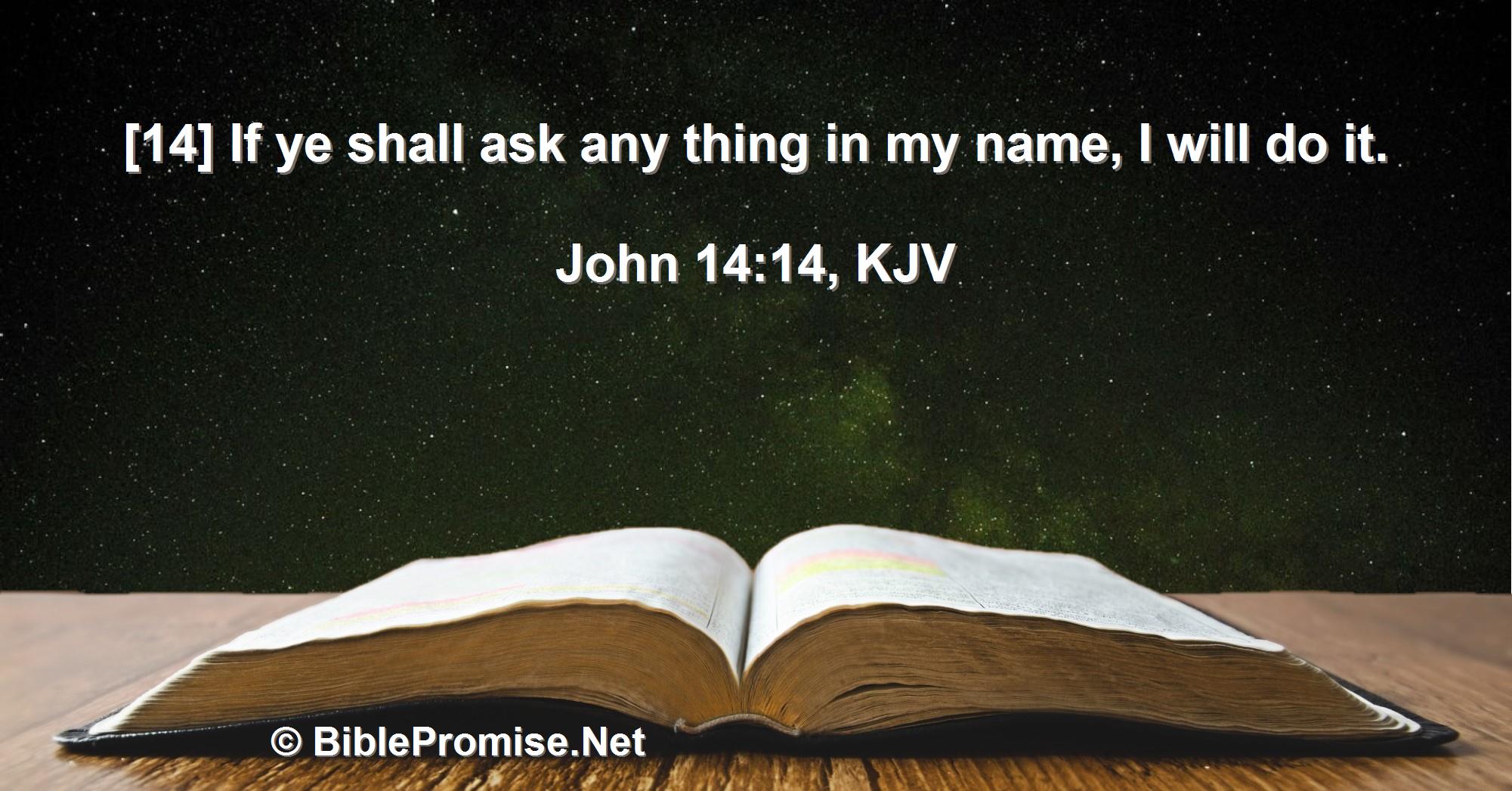 Search - Bible Promise